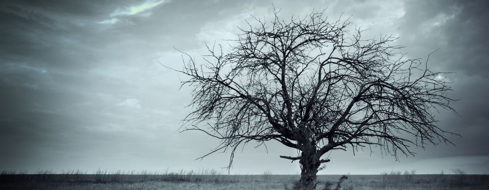 What Is Dead Metaphor A Simple Explanation A Good Library